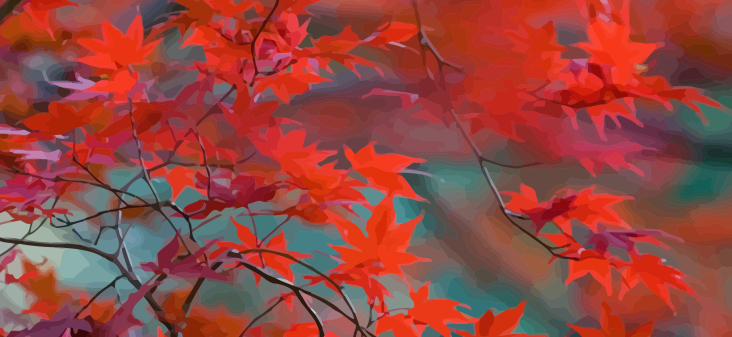 cropped-autumn-fall-foliage-leaves.png – LindaAvey.com